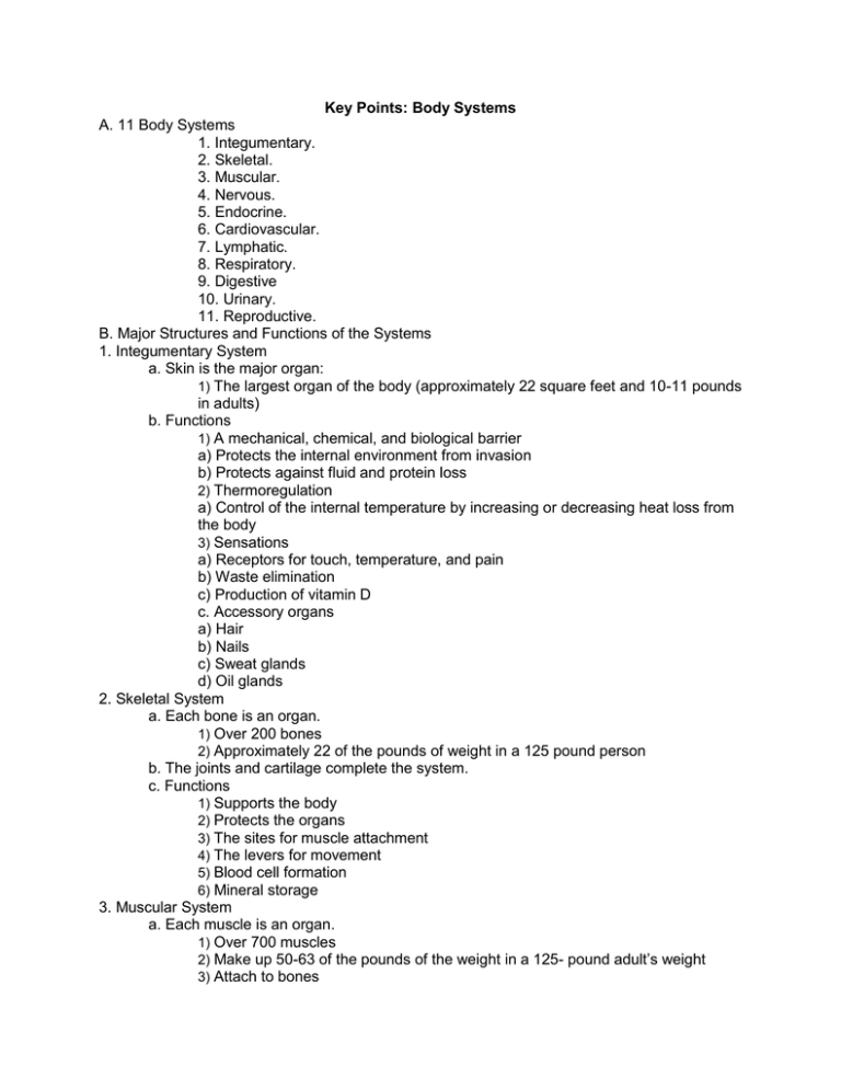 Body Systems Notes