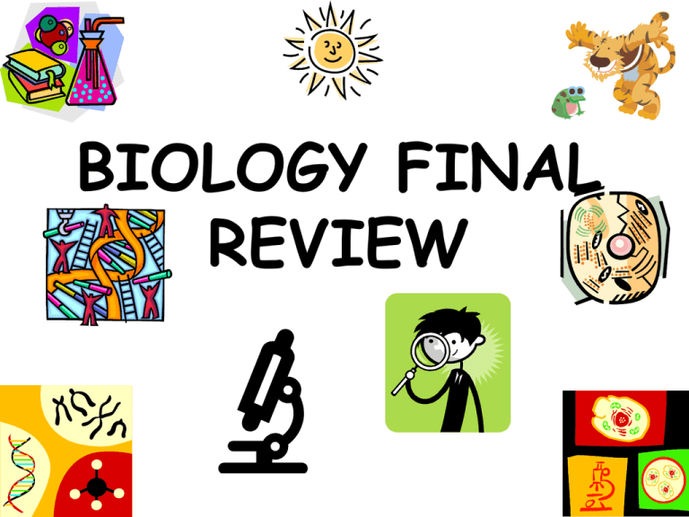 BIOLOGY FINAL REVIEW BIOLOGY FINAL REVIEW