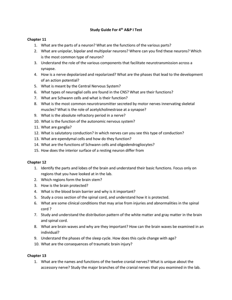Study Guide For Fourth Test Study Guide For Fourth Test