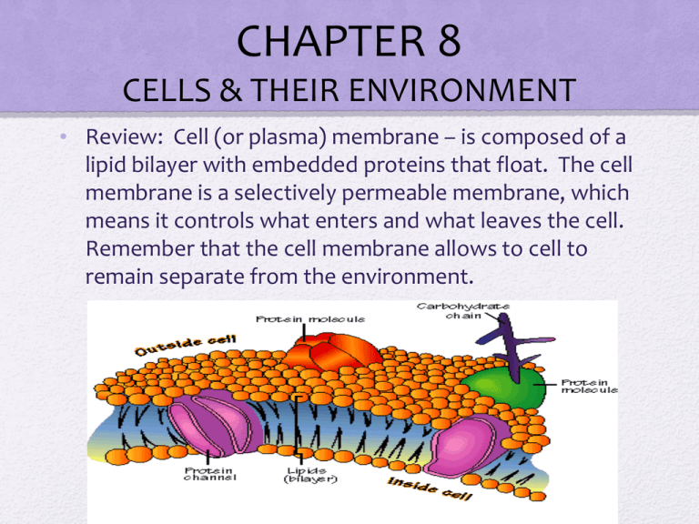 Chapter 4 Cells Their Environment Chapter 4 Cells Their Environment