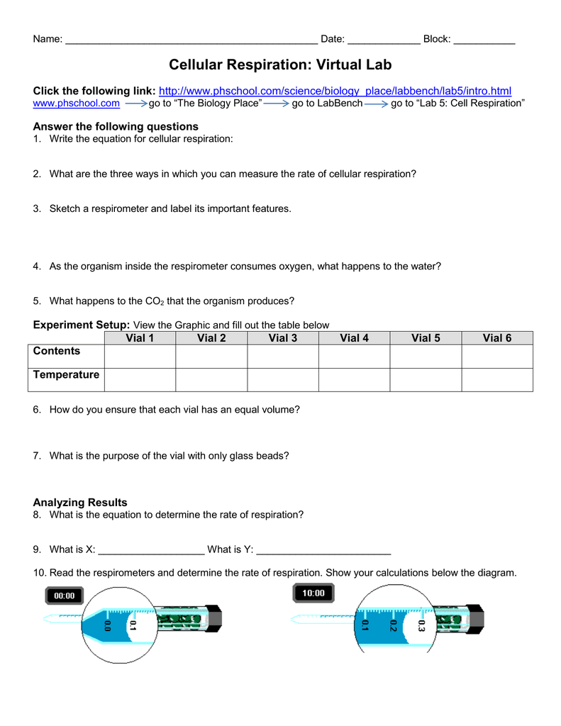 Cellular Respiration Virtual Lab Cellular Respiration Virtual Lab