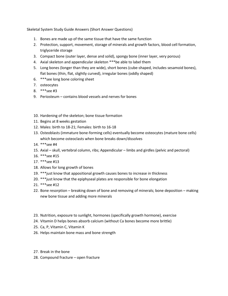 Skeletal System Study Guide Answers Short Answer ions