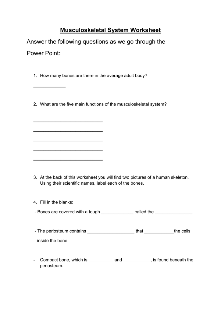 Musculoskeletal System Worksheet