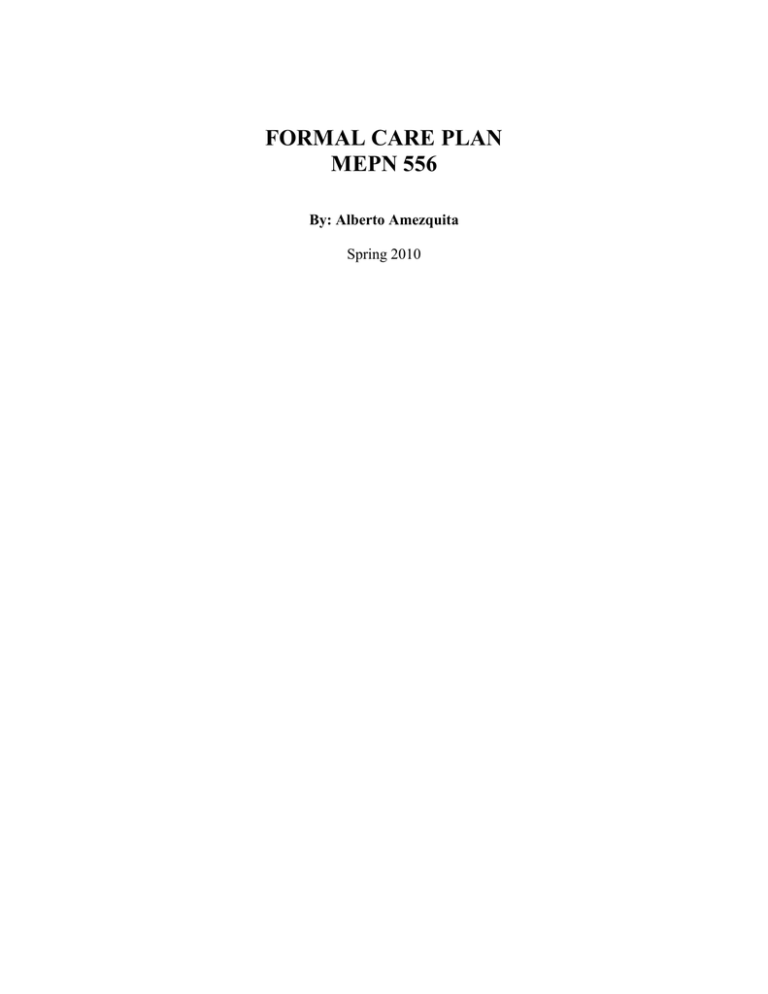 formal care plan