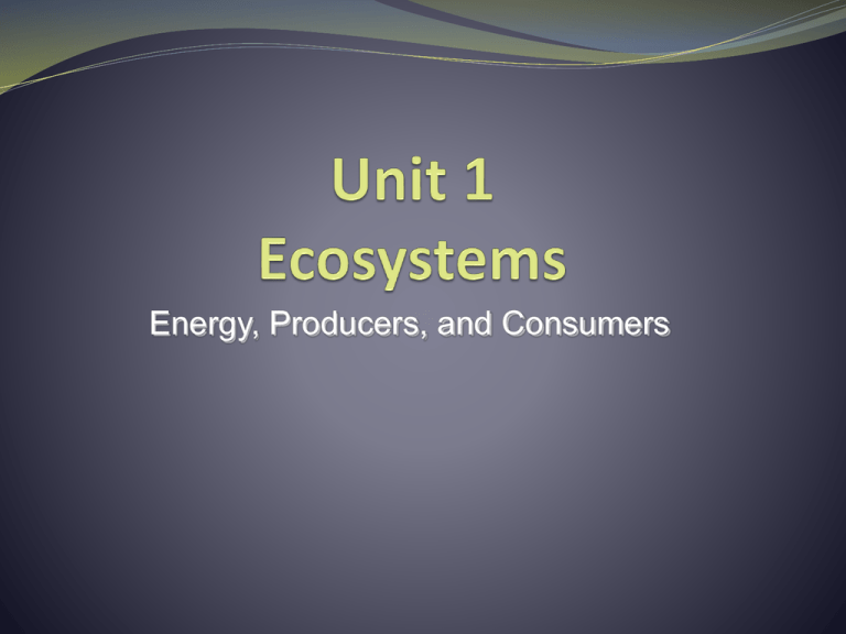 Primary Producers