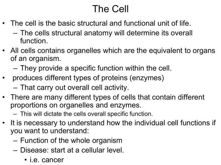 Structure Of A Generalized Cell