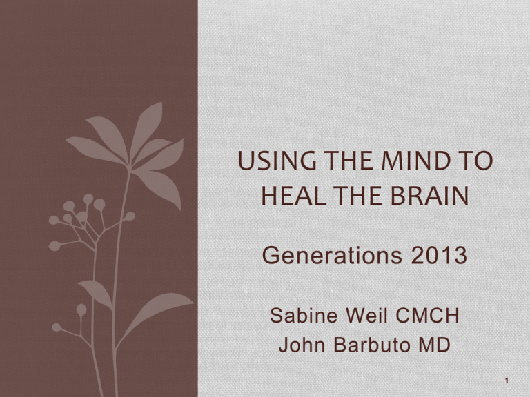 Sabine_Presentation_Generations_2013_Final