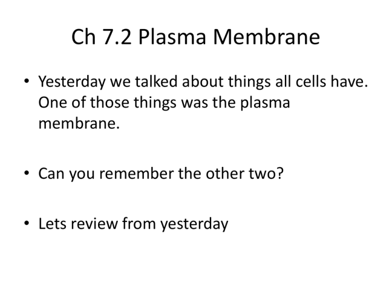 Chapter 7 Cellular Structure And Function