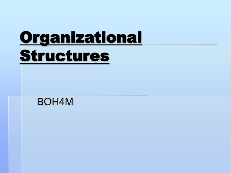Chapter 6 Designing Organizational Structure - Hale