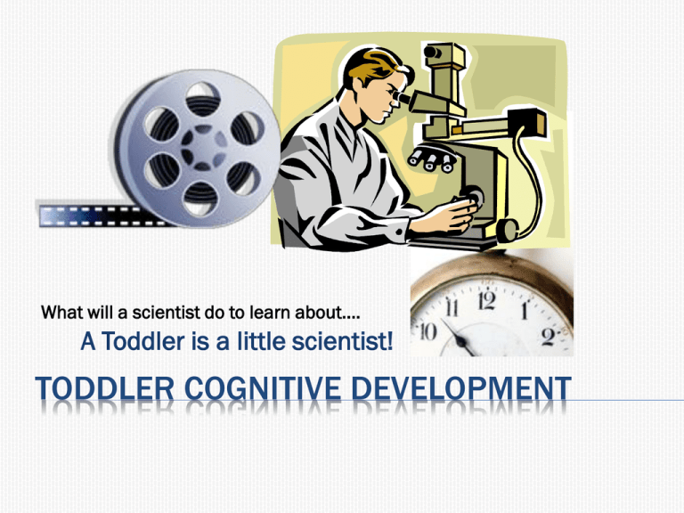 Child Development: Unit 5 Toddler and Preschool