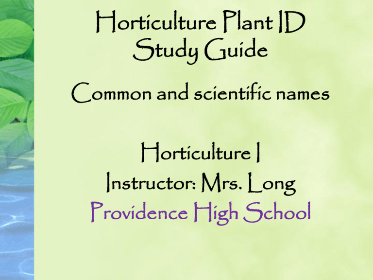 Horticulture Plant ID Horticulture Plant ID