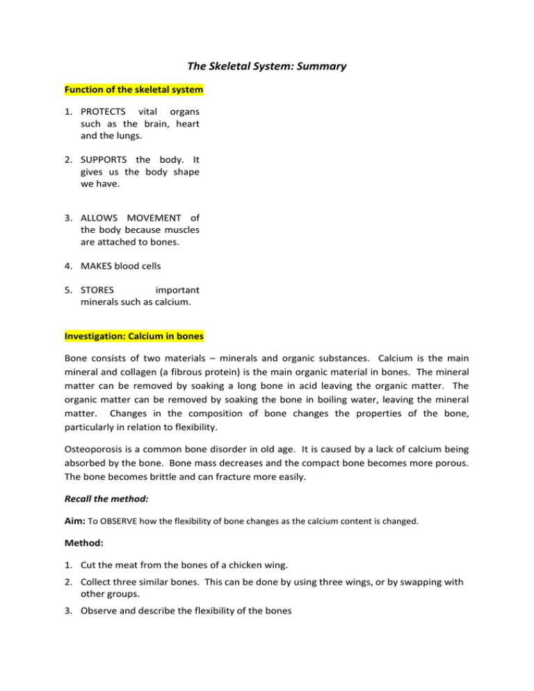 The Skeletal System Summary Mfis