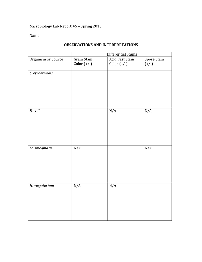 Microbiology Lab Report 5