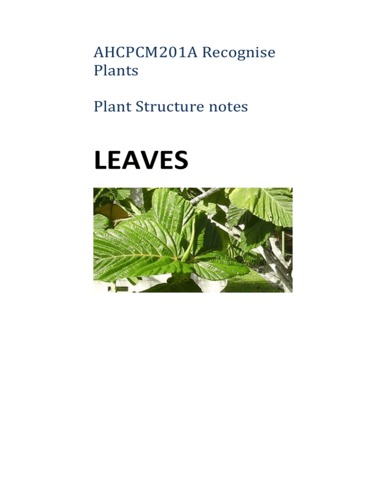 AHCPCM201A Recognise Plants Leaves AHCPCM201A Recognise Plants Leaves