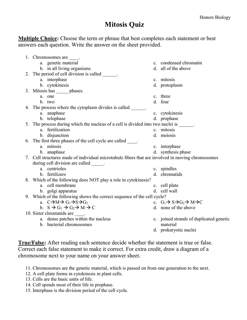 Mitosis Quiz Mitosis Quiz