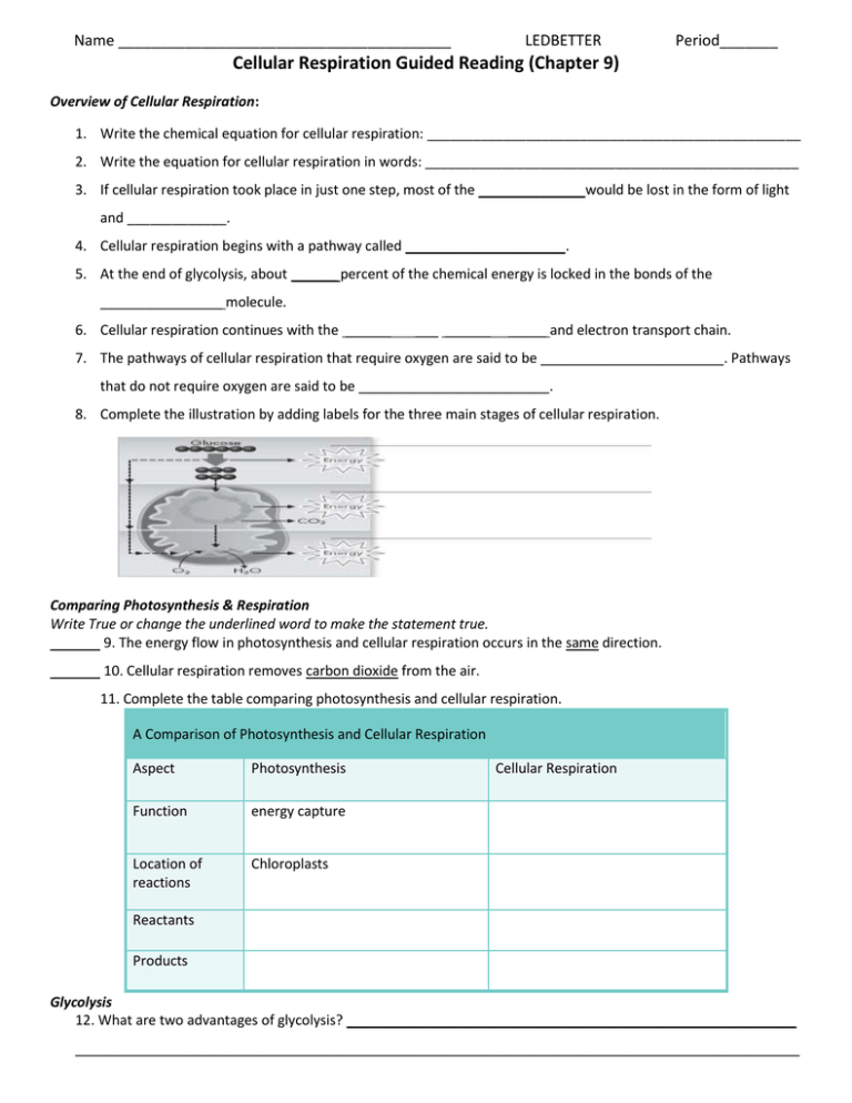Cellular Respiration Guided Reading Cellular Respiration Guided Reading