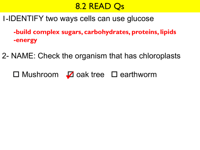 Chapter 9 Energy In A Cell Chapter 9 Energy In A Cell