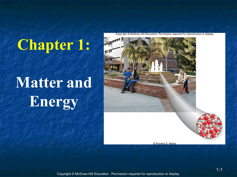 Chapter 1 Slides