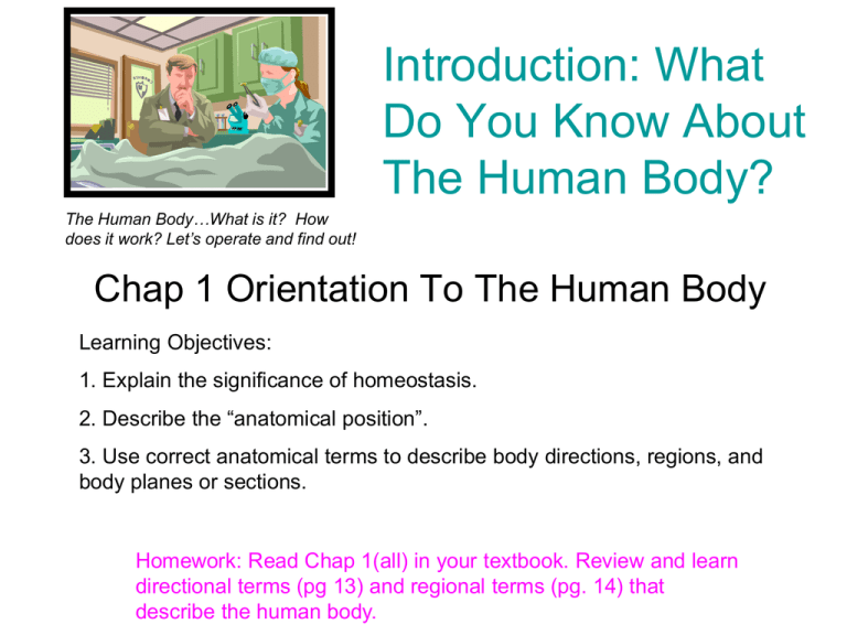 Introduction What Do You Know About The Human Body Introduction What Do You Know About The Human Body