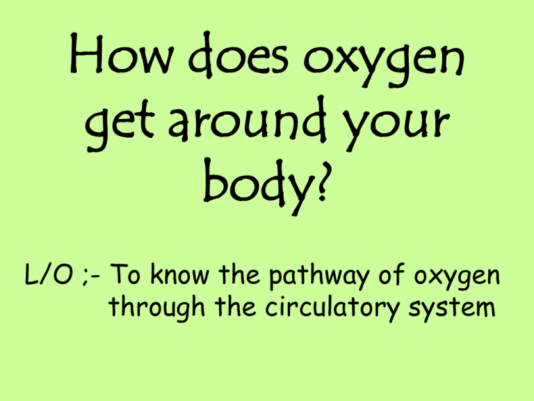 Oxygen Noadswood Science