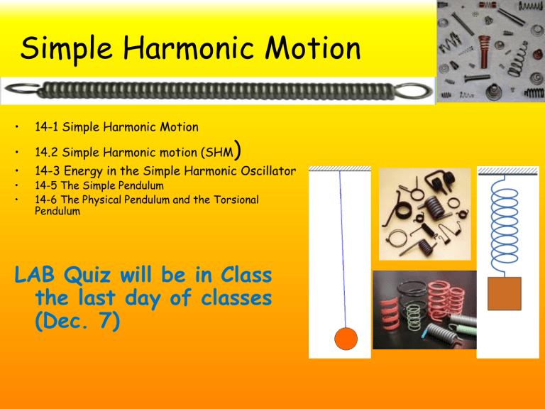 Simple Harmonic Motion