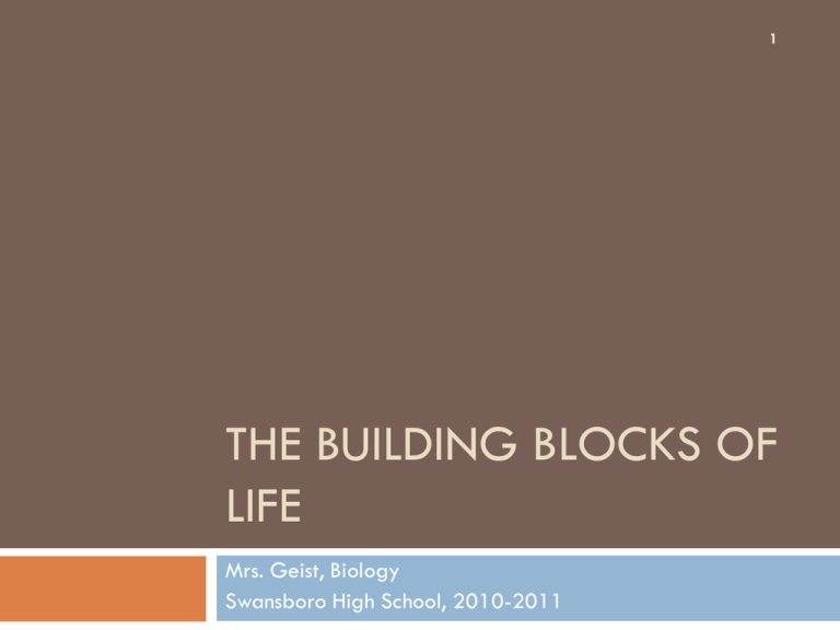 The Building Blocks Of Life