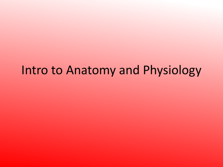 Intro To Anatomy And Physiology