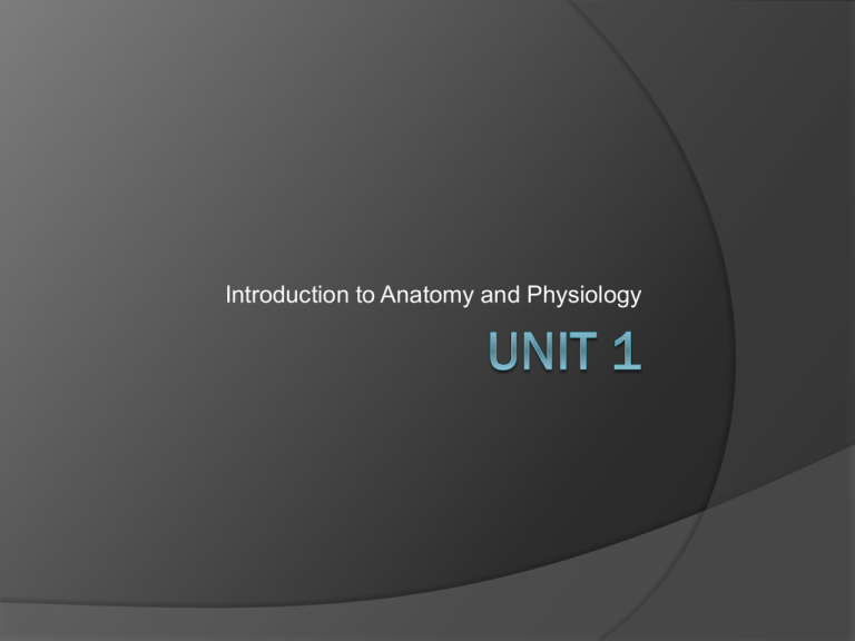 Relationship Between Anatomy And Physiology