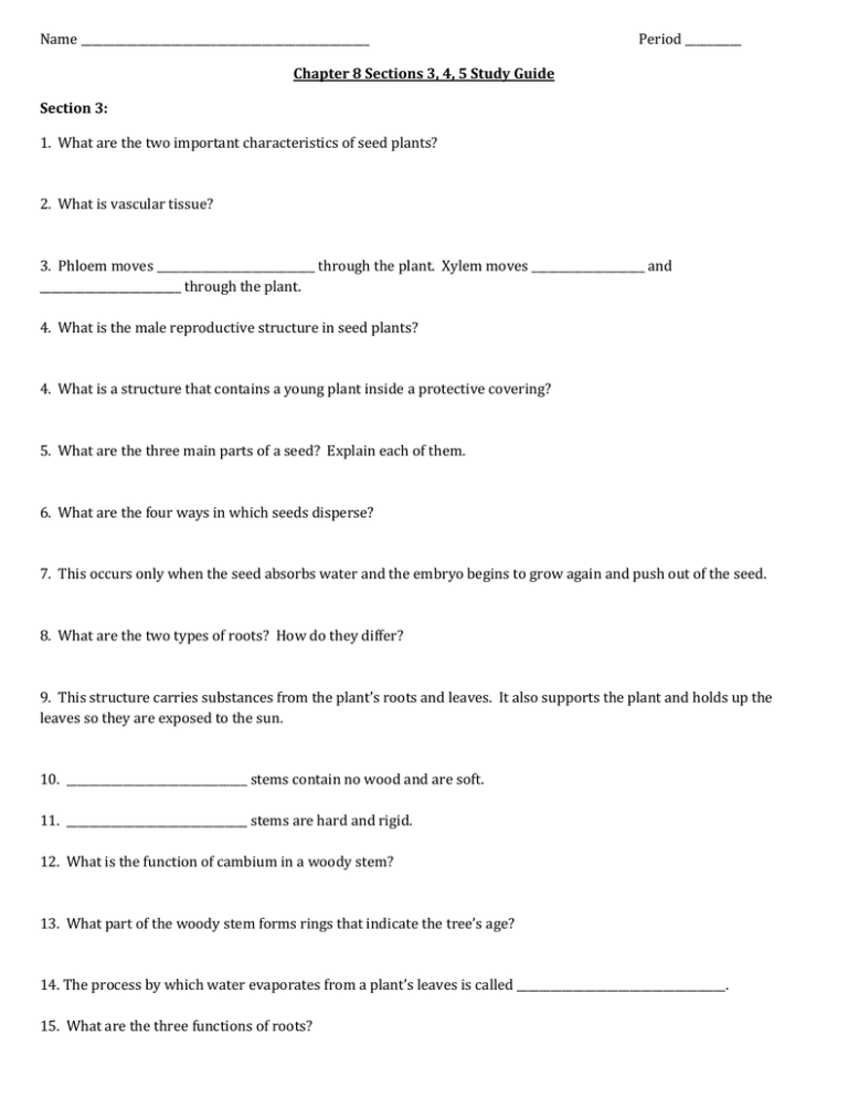 Study Guide