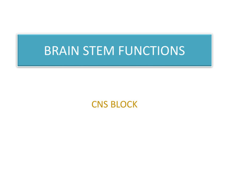 BRAIN STEM FUNCTIONS BRAIN STEM FUNCTIONS