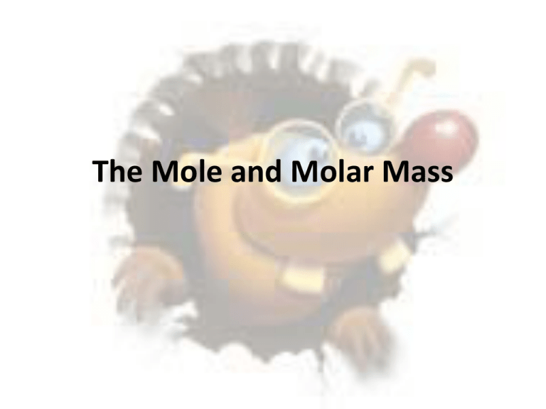 the-mole