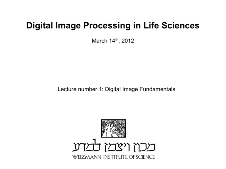 Digital Image Processing Weizmann Institute Of Science