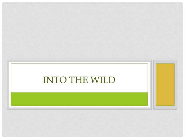 "Into the Wild" Study Guide: Activities & Comprehension