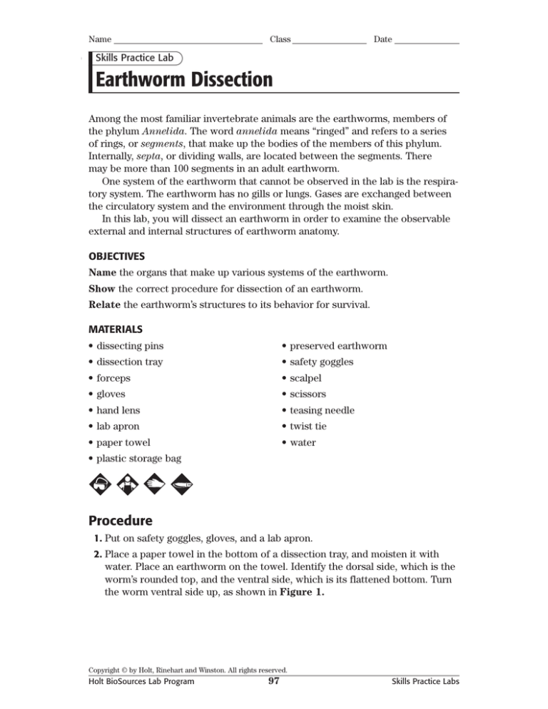 Earthworm Dissection