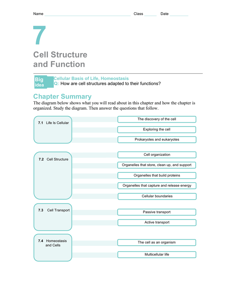 7 Cell Structure And Function