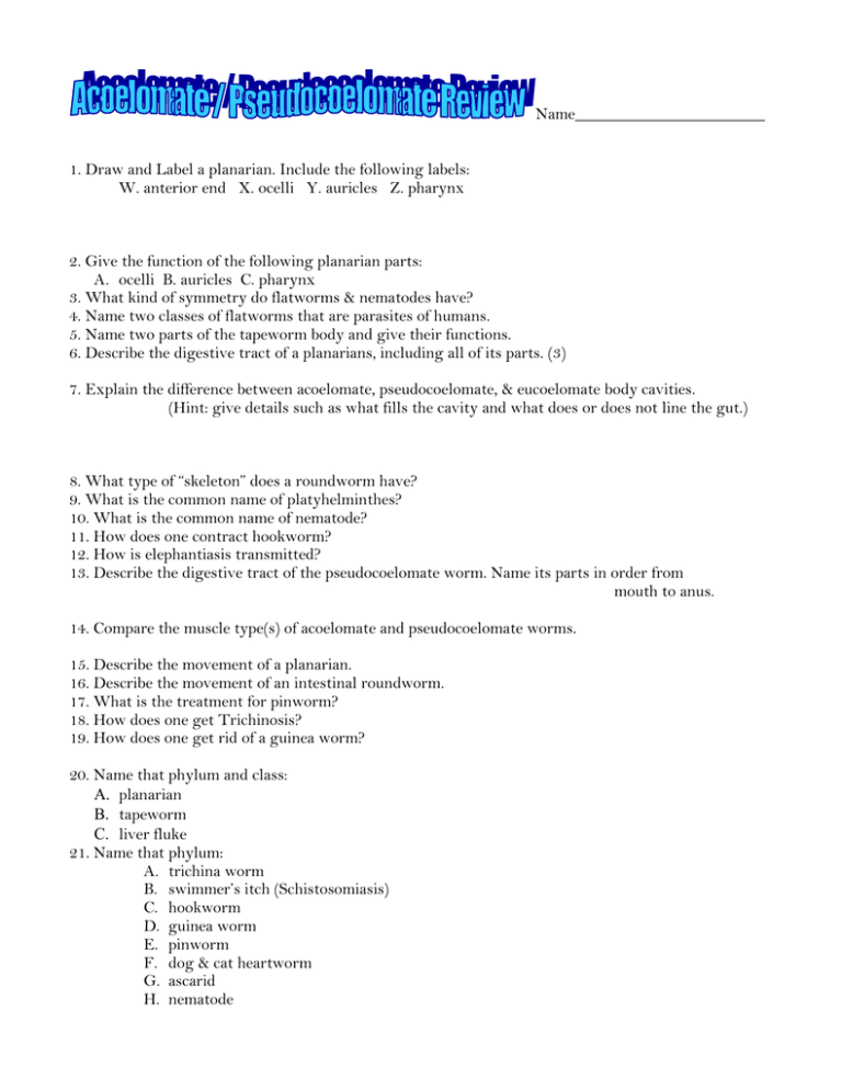Name 1 Draw And Label A Planarian Include The 