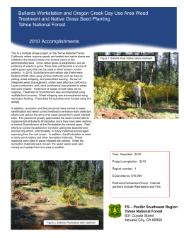 Safety Checklist Safety Checklist When Using Your Brushcutter