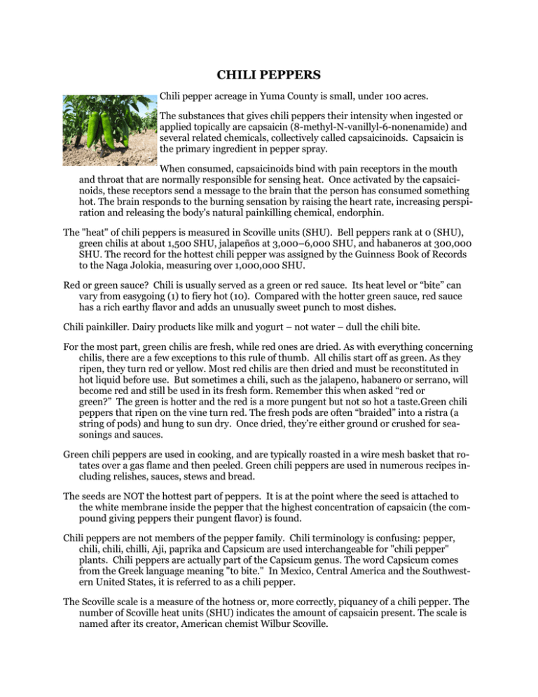 CHILI PEPPERS