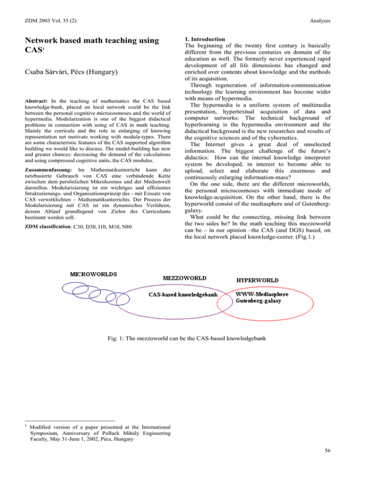 Network Based Math Teaching Using CAS
