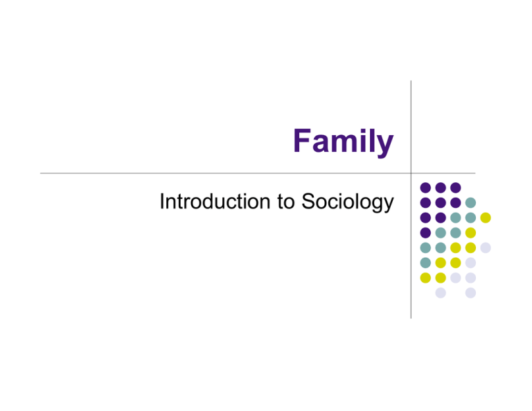 Family Introduction to Sociology