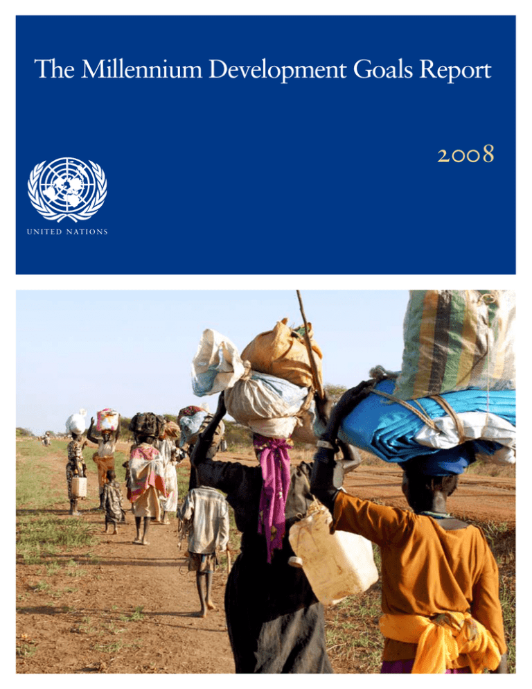 2008 The Millennium Development Goals Report