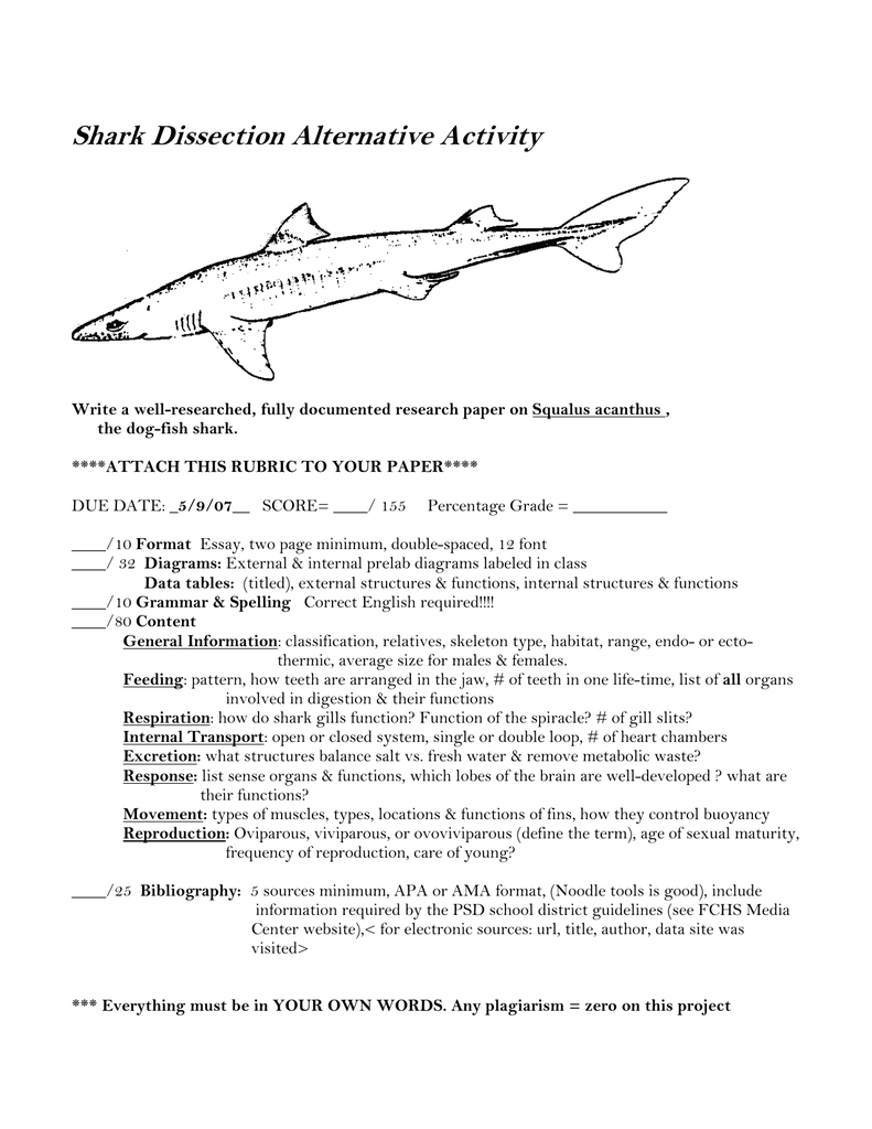 Lab Fish Dissection Answers At Rose Wilkins Blog
