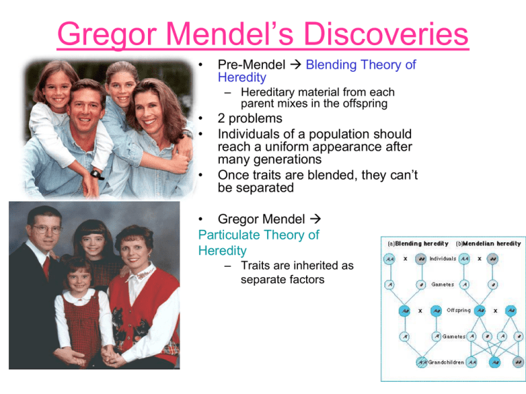 Gregor Mendel’s Discoveries