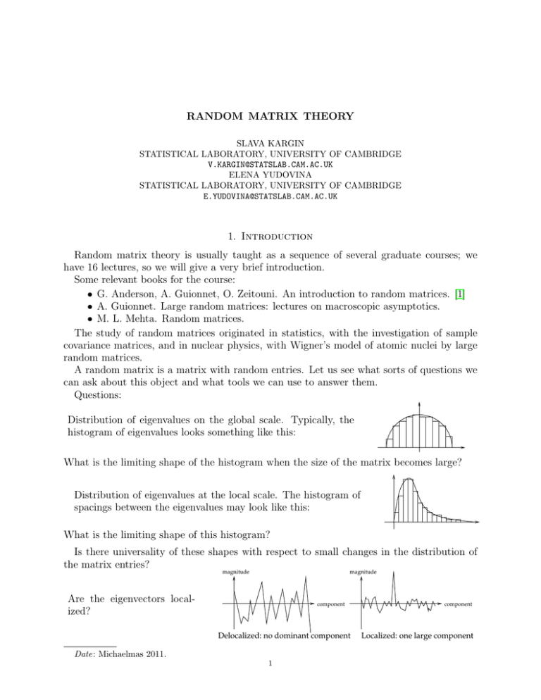 RANDOM MATRIX THEORY