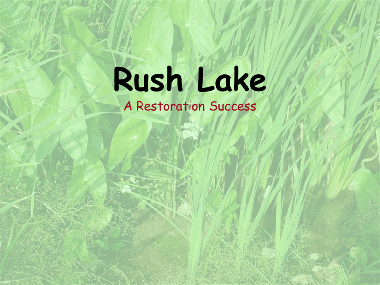 Rush Lake A Restoration Success