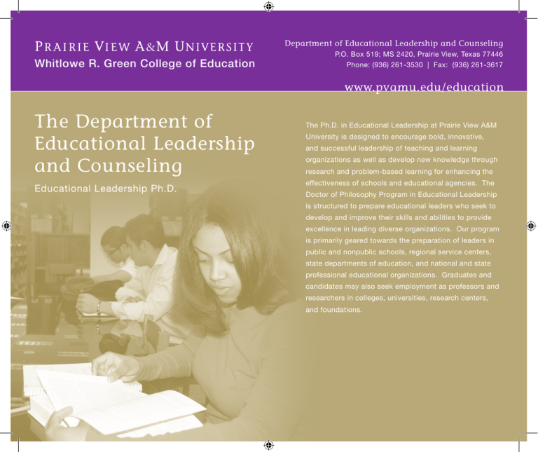 The Department Of P V A The Department Of P V A