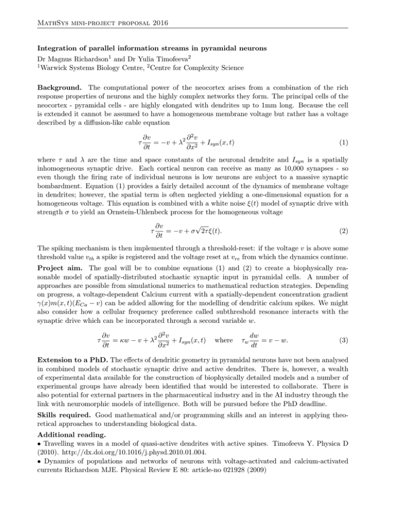MathSys Mini project Proposal 2016 Dr Magnus Richardson