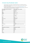 Dundonian Vocabulary: Key Words and Phrases