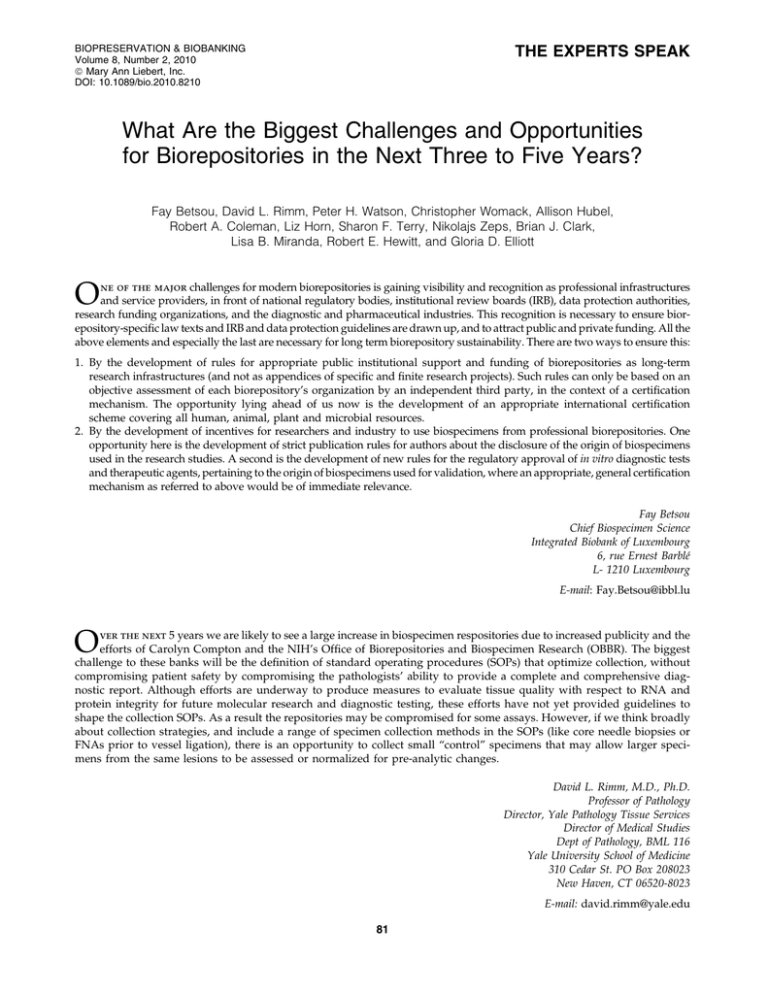 What Are The Biggest Challenges And Opportunities