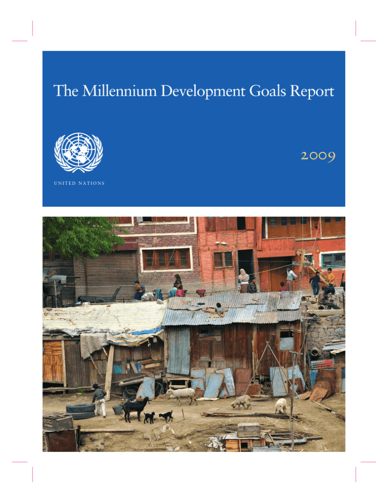 2009 The Millennium Development Goals Report